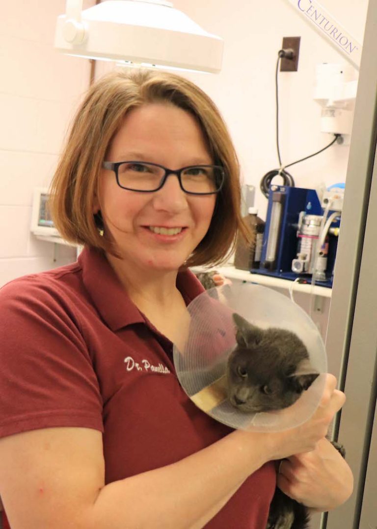 Management Staff – Humane Society of Westchester