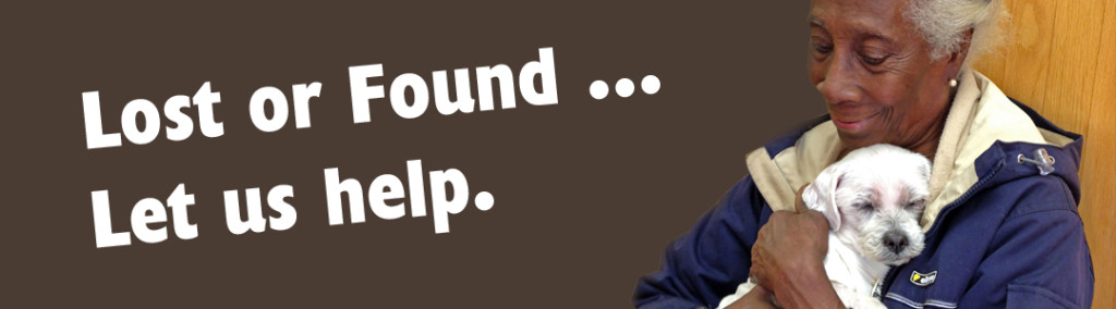 Lost & Found Animals – Humane Society of Westchester